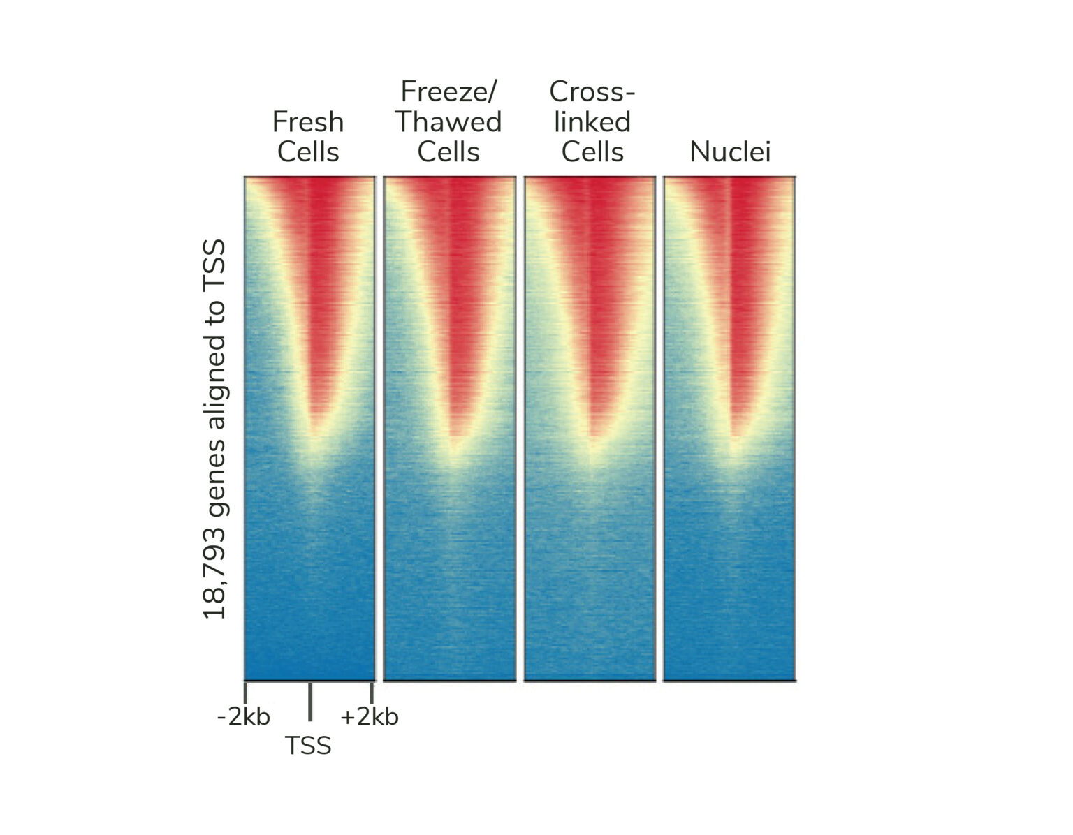 ChIP-seq vs. CUT&RUN vs. CUT&Tag: Which should you use? - EpiCypher