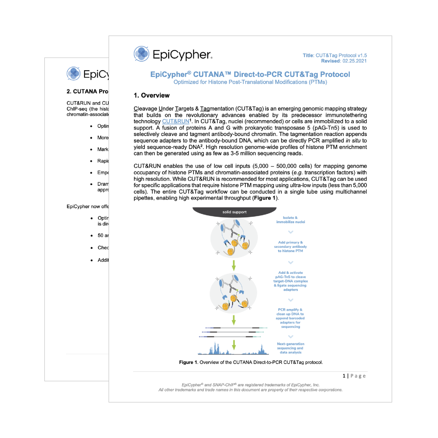 CUTANA™ CUT&Tag Assays - EpiCypher